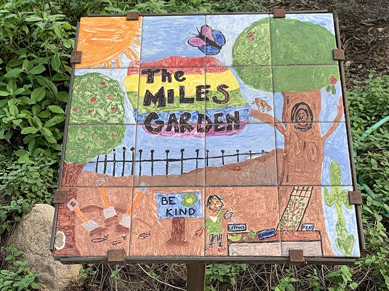Miles Exploratory Learning Center